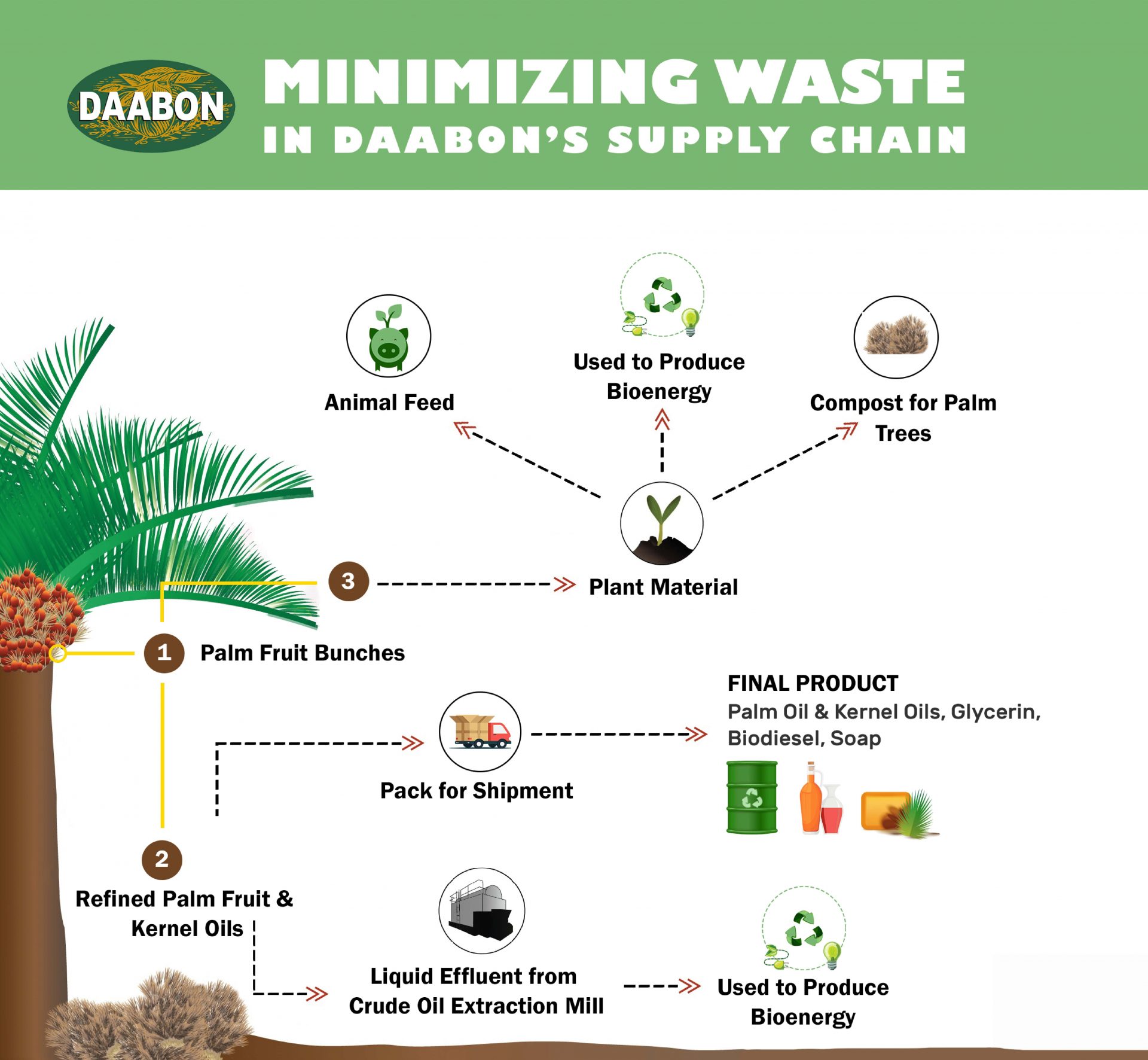 Minimizing Waste in Daabon's Supply Chain - Palm Today Blog